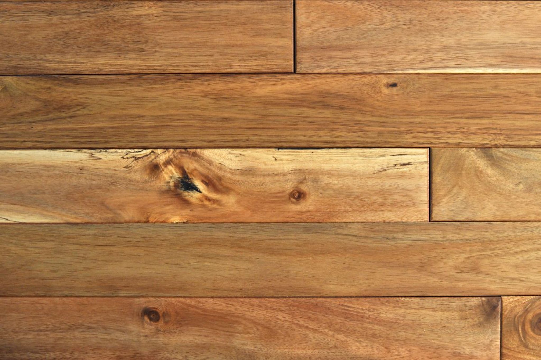 Main Disadvantages Of Acacia Wood | BuildEazy